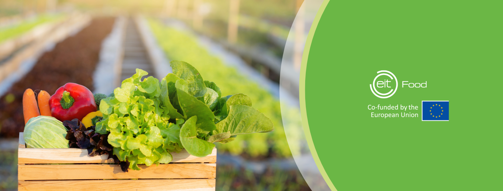 EIT Food SPU bol jedným z najaktívnejších na Slovensku v získavaní ...